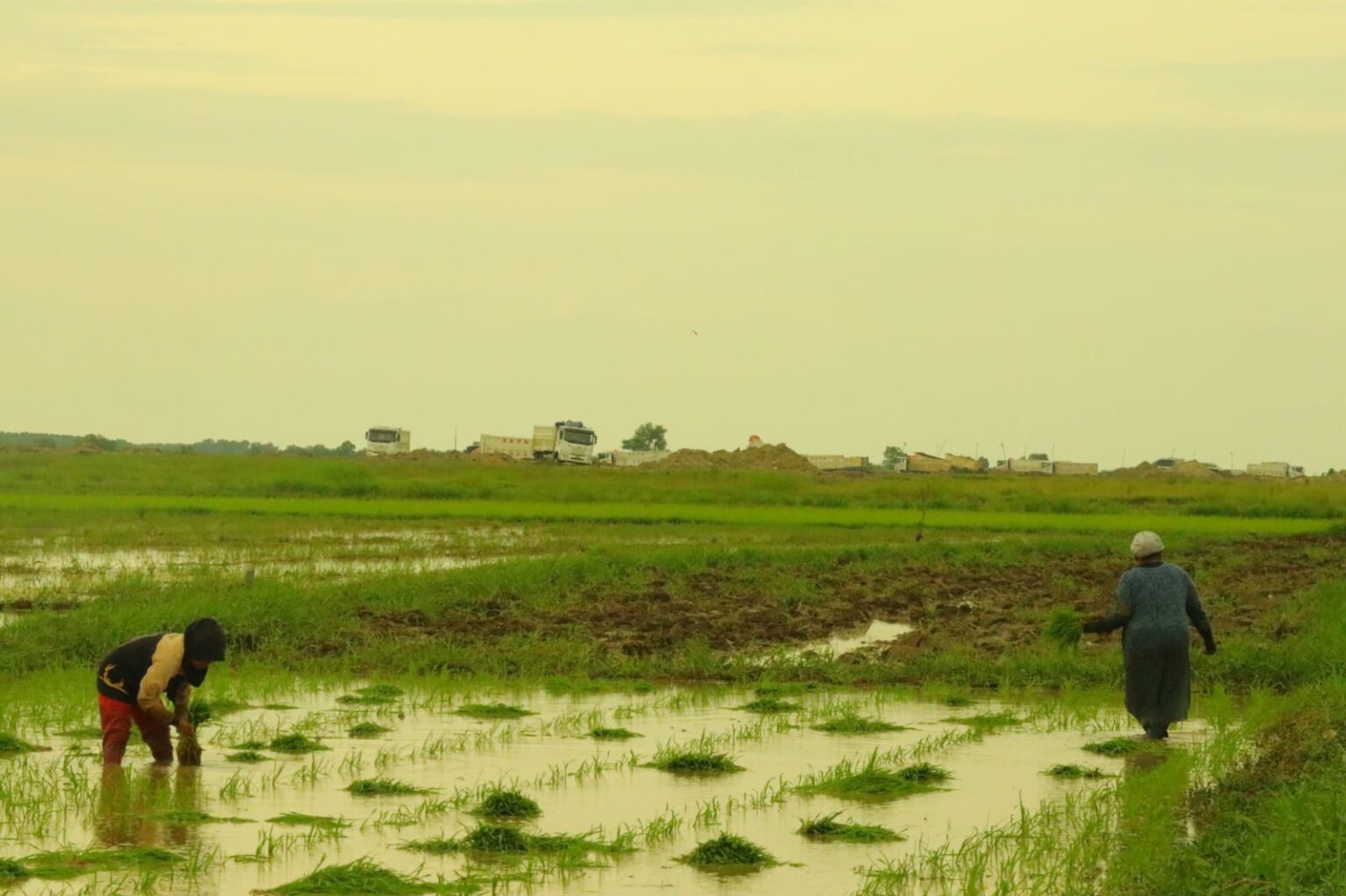 Warga Muncung Protes Penimbunan Sungai