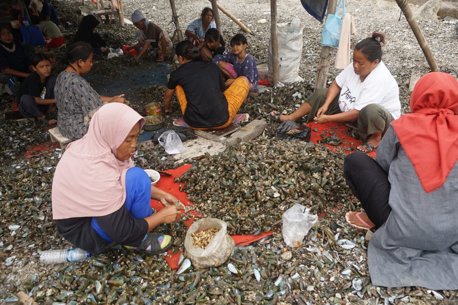 5 Fakta Pagar Laut Tangerang, Bagaimana Proses Hukumnya?