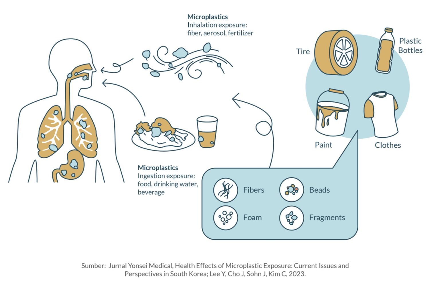 Dampak Mikroplastik Buruk bagi Kesehatan dan Fungsi Kognitif Manusia