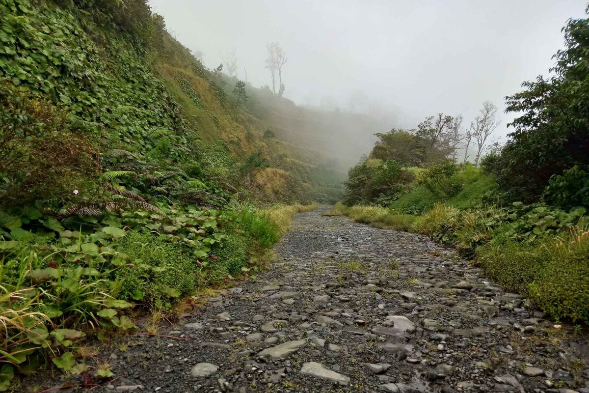 Jejak Kerusakan Proyek PLTP Baturraden di Gunung Slamet