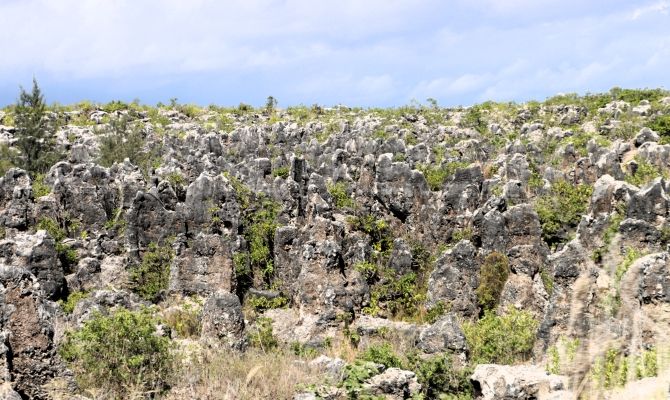Nauru: Negara Pulau yang Menambang Dirinya Sendiri Hingga Runtuh