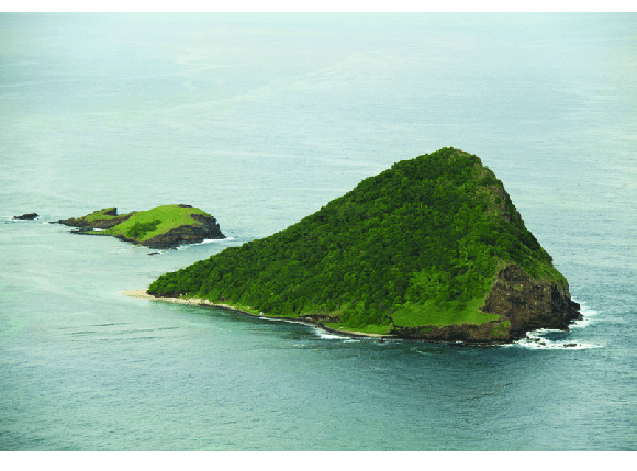 Inilah Ular Paling Langka dan Terisolir di Dunia, Bertahan di Pulau ...