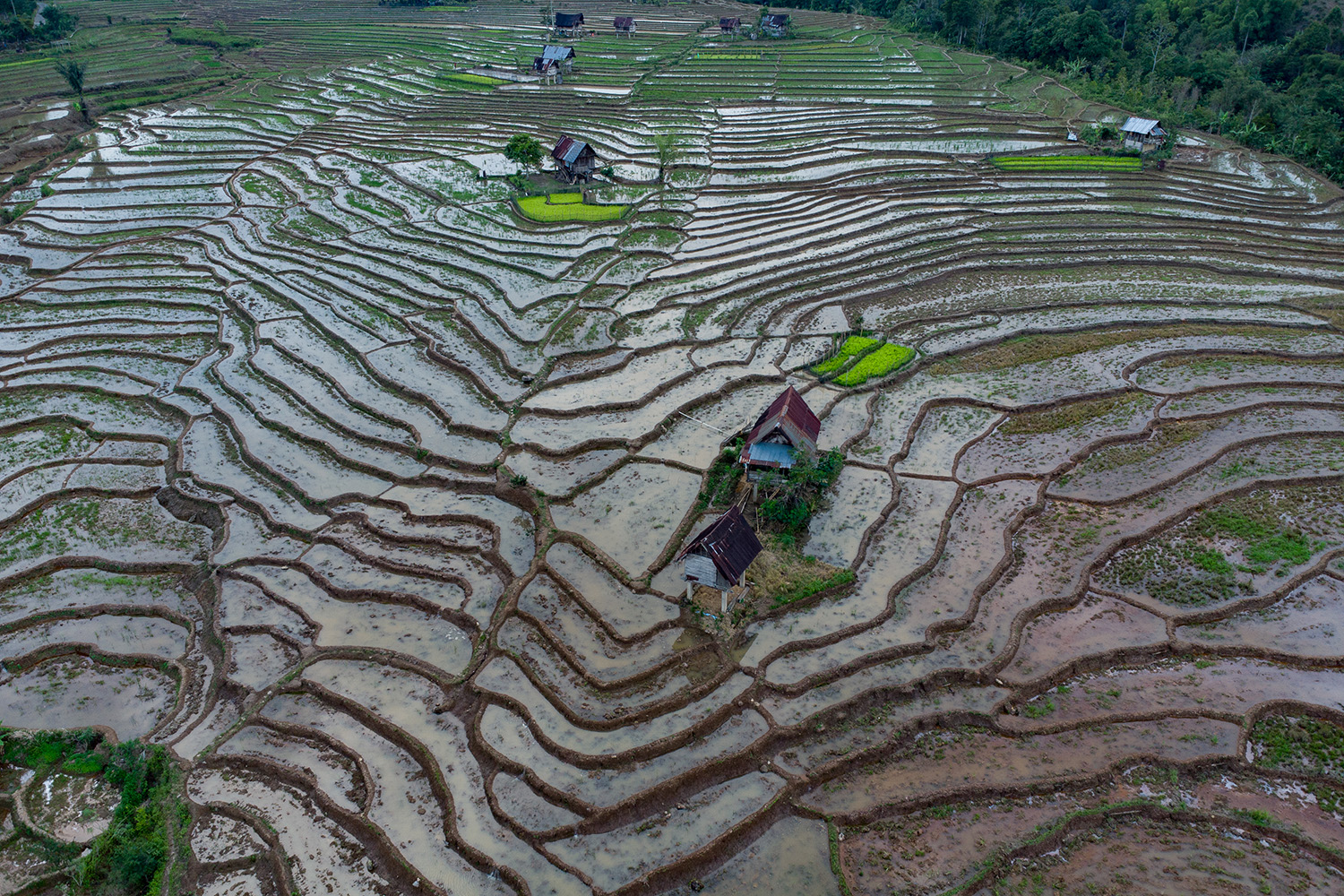 Relasi Sosial dan Kearifan Suku Semende Menjaga Wilayah Adat