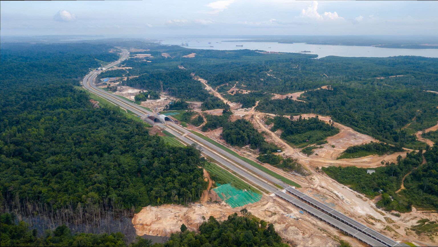 Bekantan Tewas di Jalan Tol Tanpa Koridor Satwa