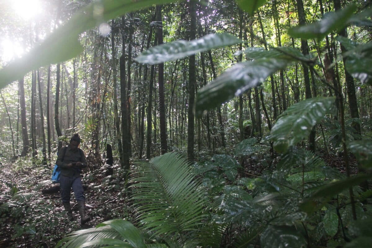 Hutan Adat Danau Pulau, Penjaga Kehidupan Masyarakat Enggano