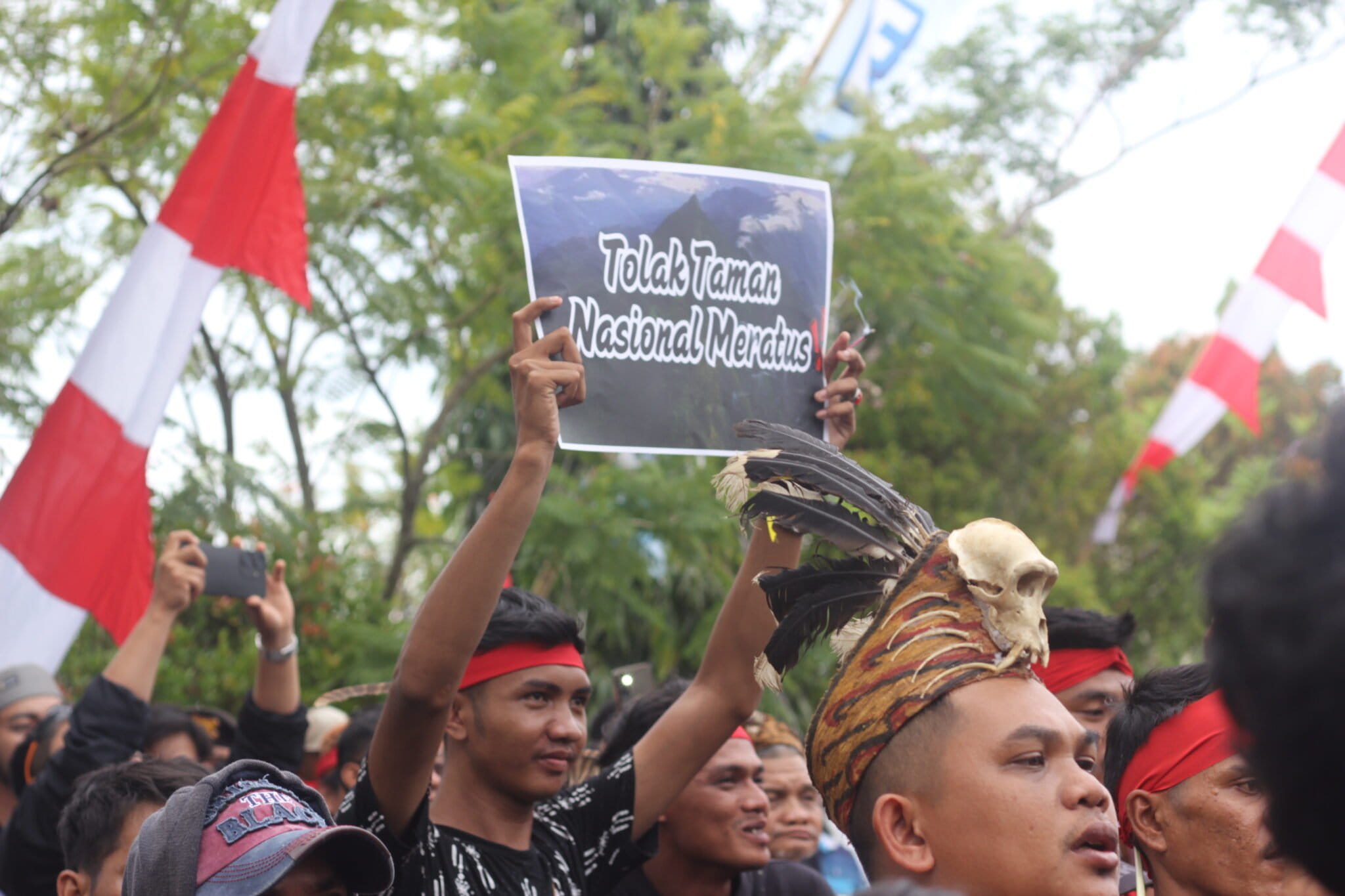 Lebih Tua dari Cincin Saturnus: Bagaimana Hiu Bertahan Selama Ratusan Juta Tahun?