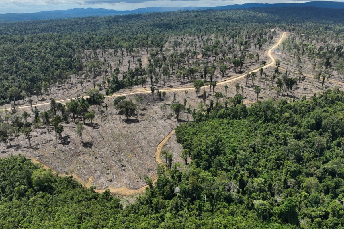 5 Fakta Pagar Laut Tangerang, Bagaimana Proses Hukumnya?