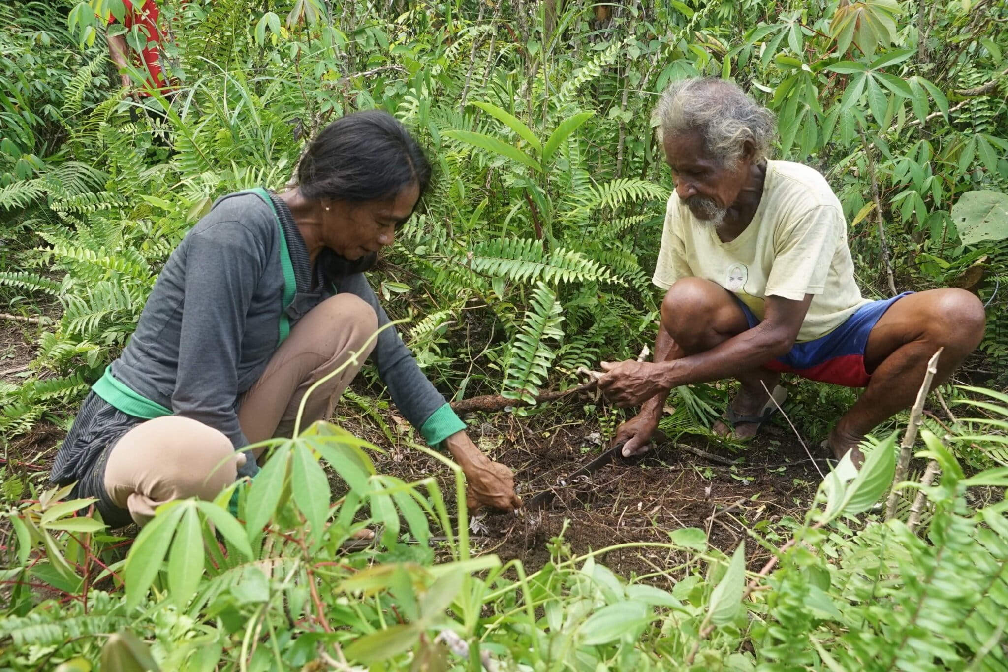 Norwegia Coret Eramet, Momentum Setop Rusak Hutan Halmahera
