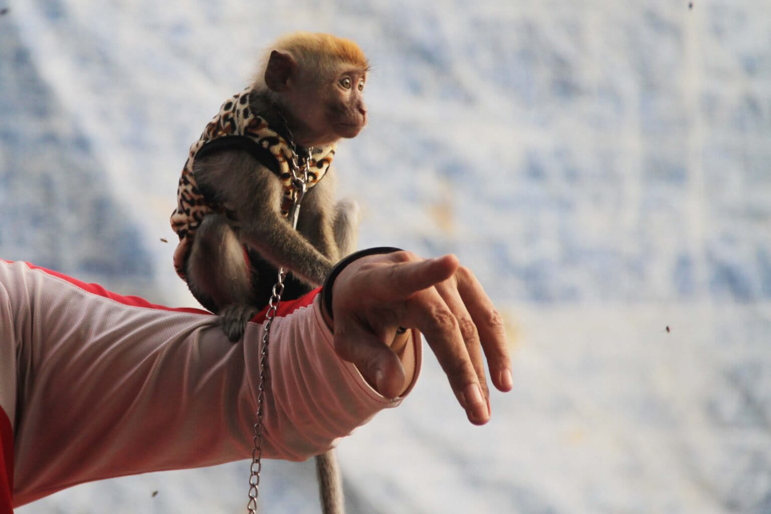 5 Fakta Pagar Laut Tangerang, Bagaimana Proses Hukumnya?