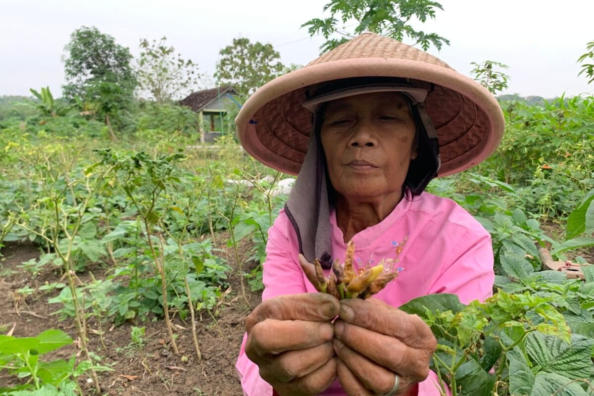 5 Fakta Pagar Laut Tangerang, Bagaimana Proses Hukumnya?