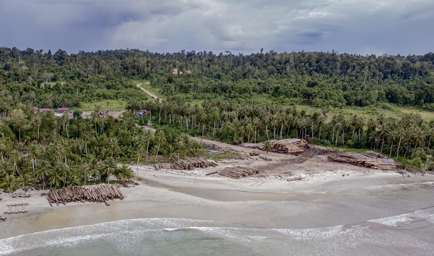 Jerat Hukum Perusahaan Tebang Ilegal Kayu Hutan Sipora