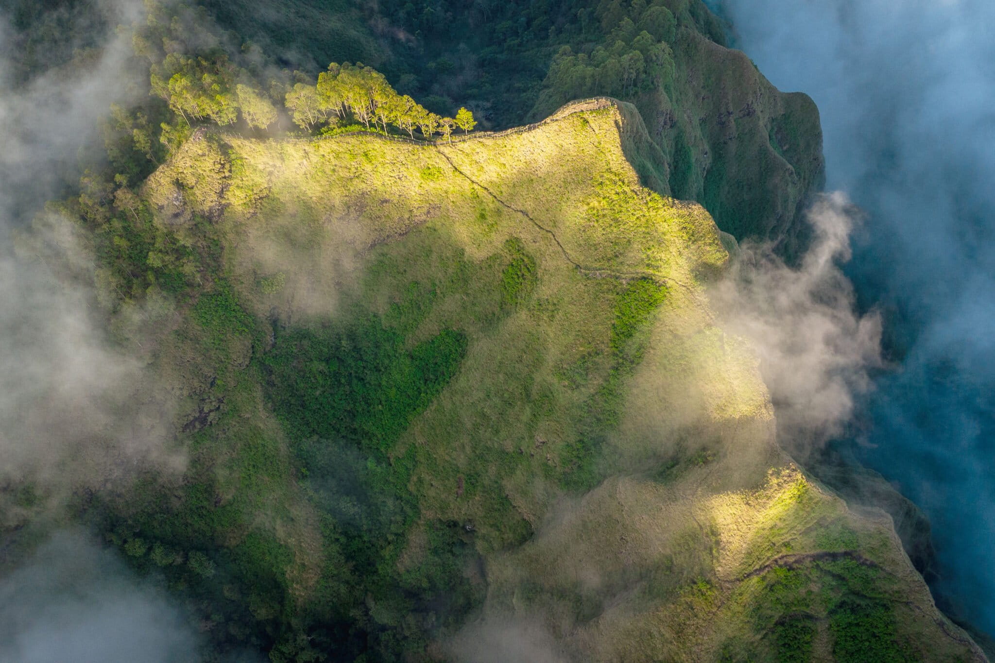 Daftar Spesies Punah IUCN Sepanjang 2023