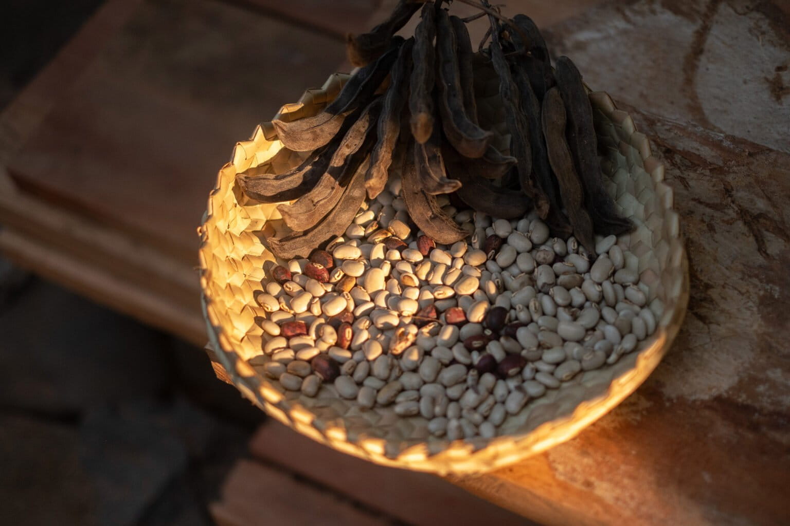 Kacang Lokal, Penopang Kedaulatan Pangan Masyarakat NTT