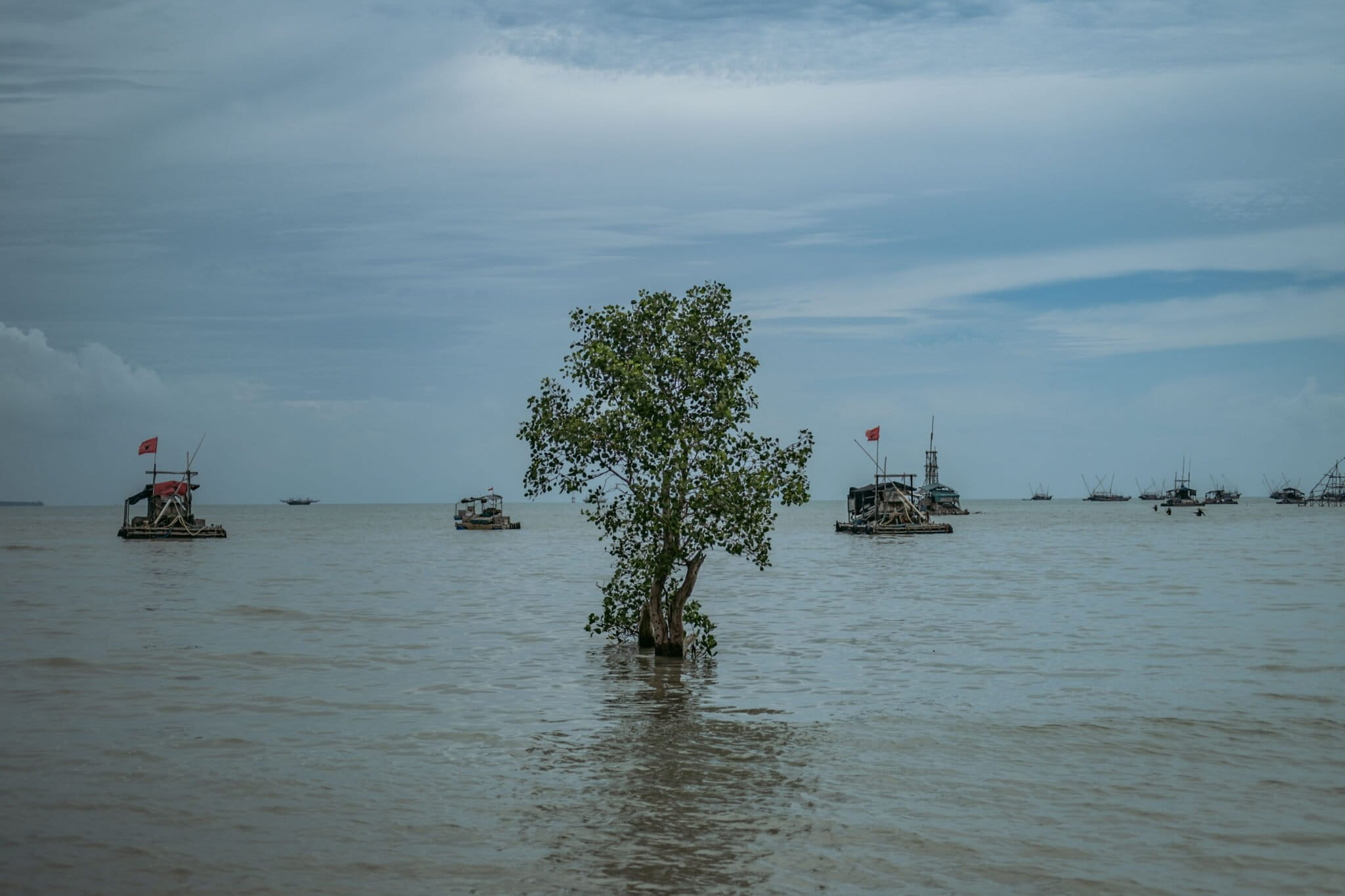 Upaya Lestarikan Kepiting Bakau di Pesisir Timur Pulau Bangka