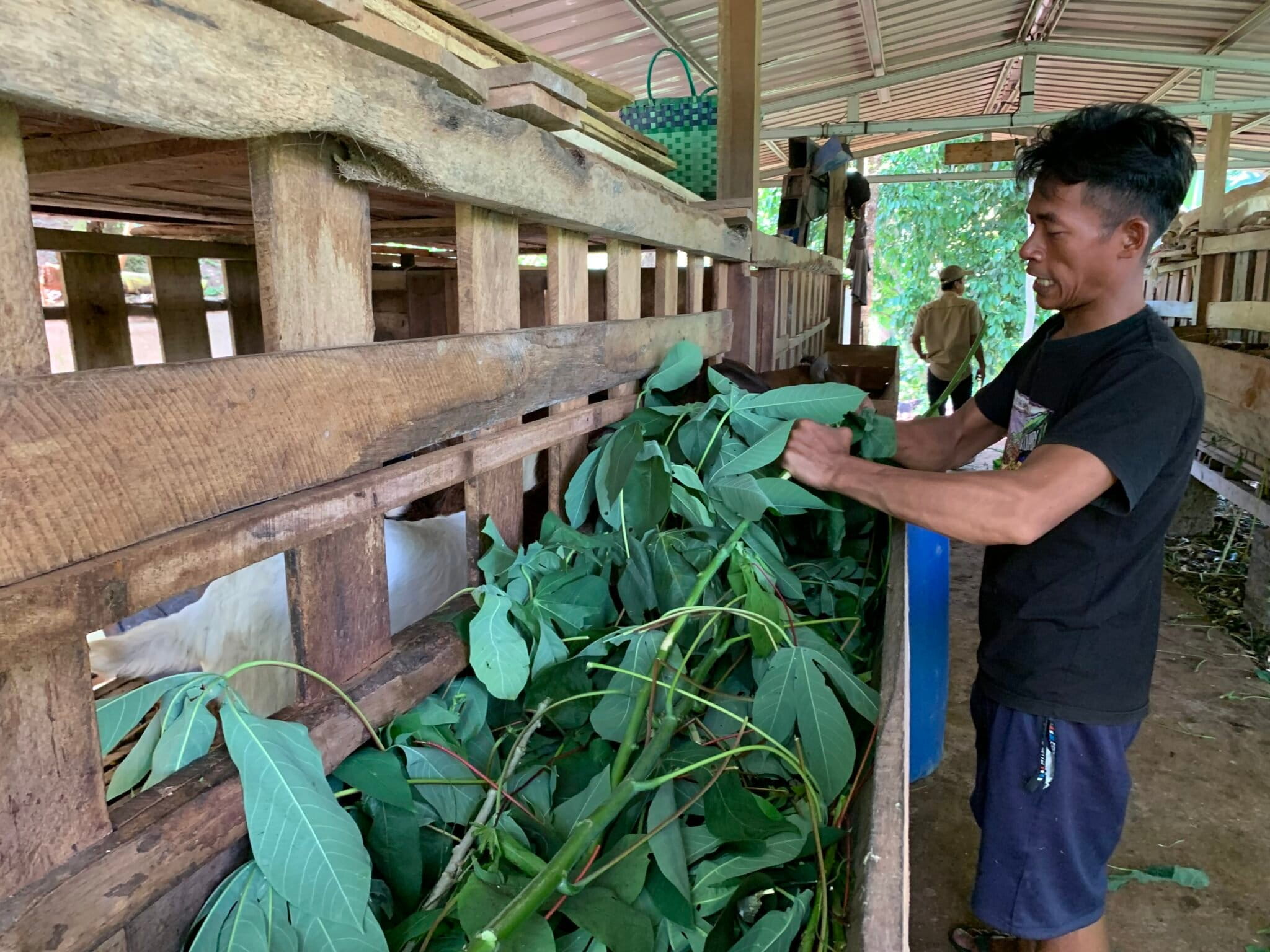 Setelah Hutan Wadas di Purworejo Terlanjur Terbabat